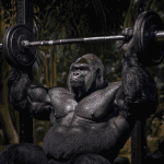 How Much Can A Gorilla Bench Press? | Animal Start