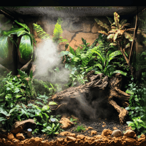 Best Reptile Foggers and Misters for Your Terrarium | Animal Start